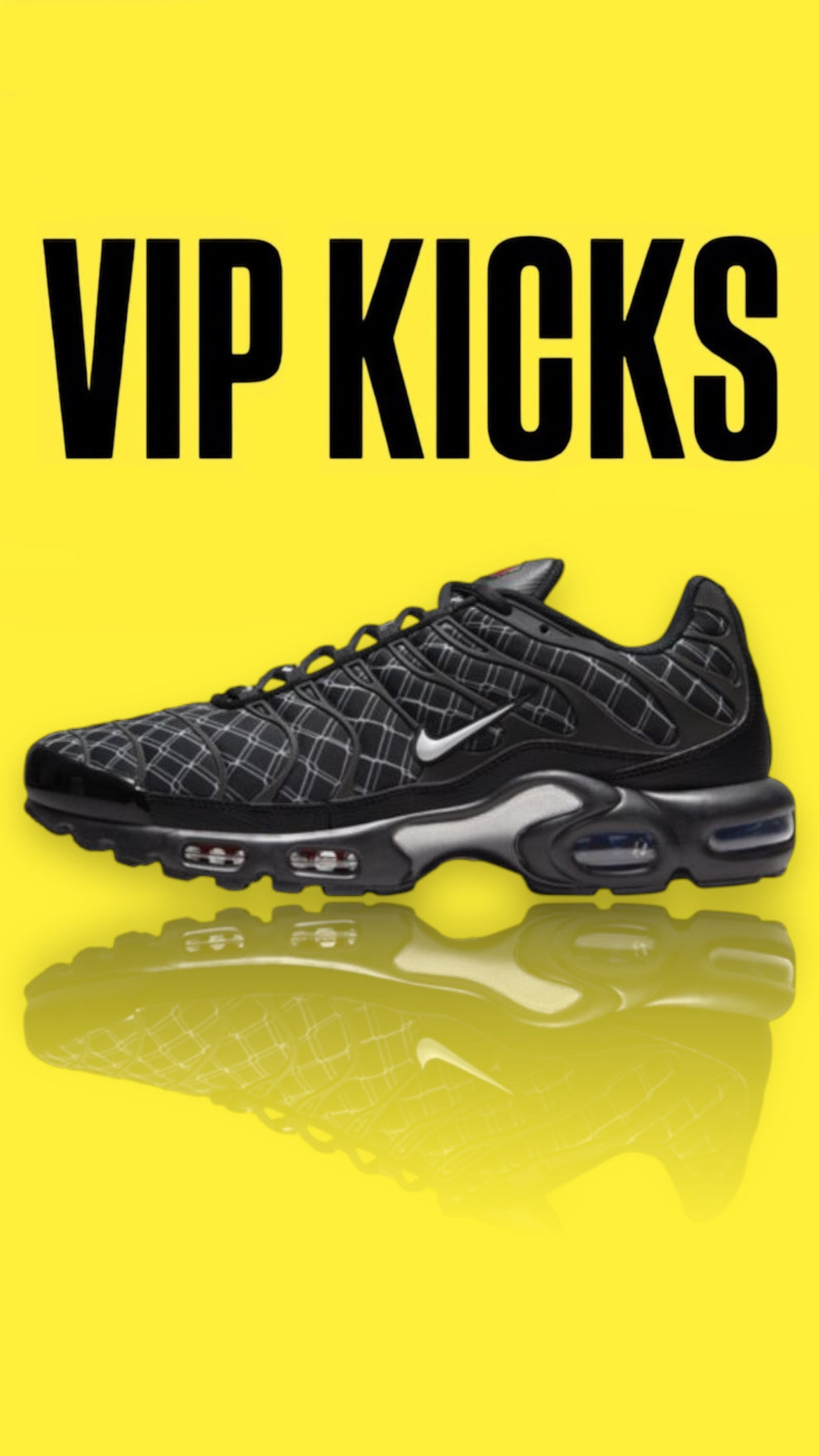 Nike Air Max Plus TN – France – Vip Kicks