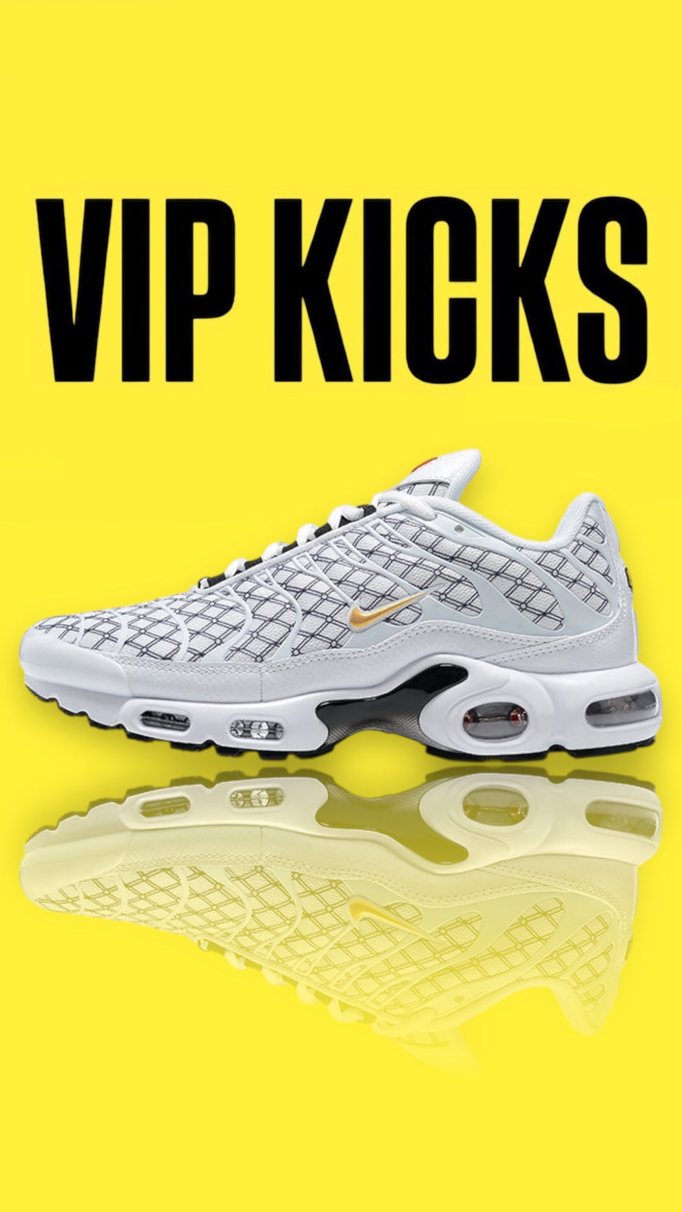 Nike Air Max Plus TN – France – Vip Kicks